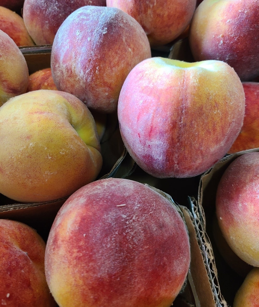 First Ontario's Red Heaven Peaches | Little Bee Farmers Market